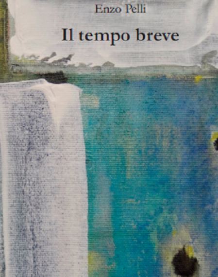 La presentazione del libro di Enzo Pelli al Boschetto del Ciani – L ...
