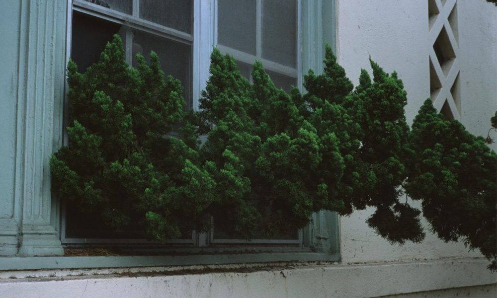 “Ascension” di Matthew Smith in mostra a Roma – L'Osservatore