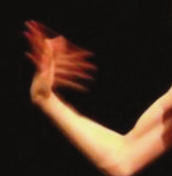 Schegge 2024: la parola e il gesto – L'Osservatore