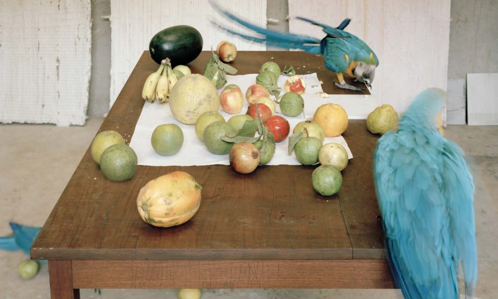 Stefano Graziani e una controstoria dell’architettura a Mendrisio – L'Osservatore